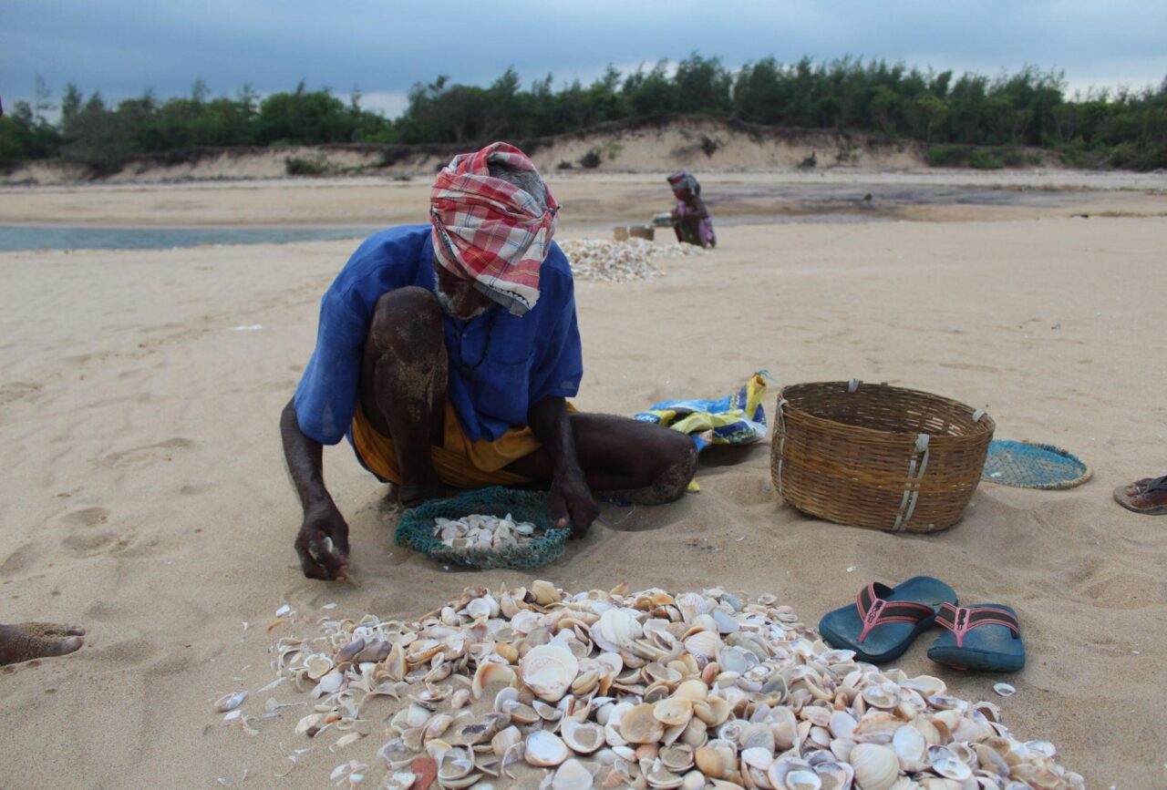 Shells to the rescue of the old and frail | Migration Diaries